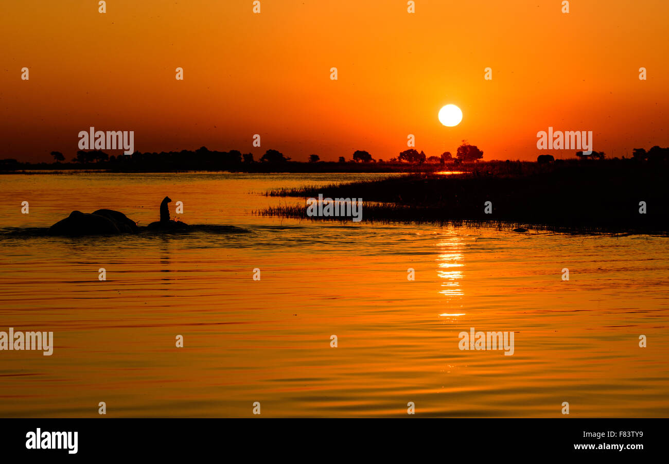 Chobe River sunset Stock Photo - Alamy