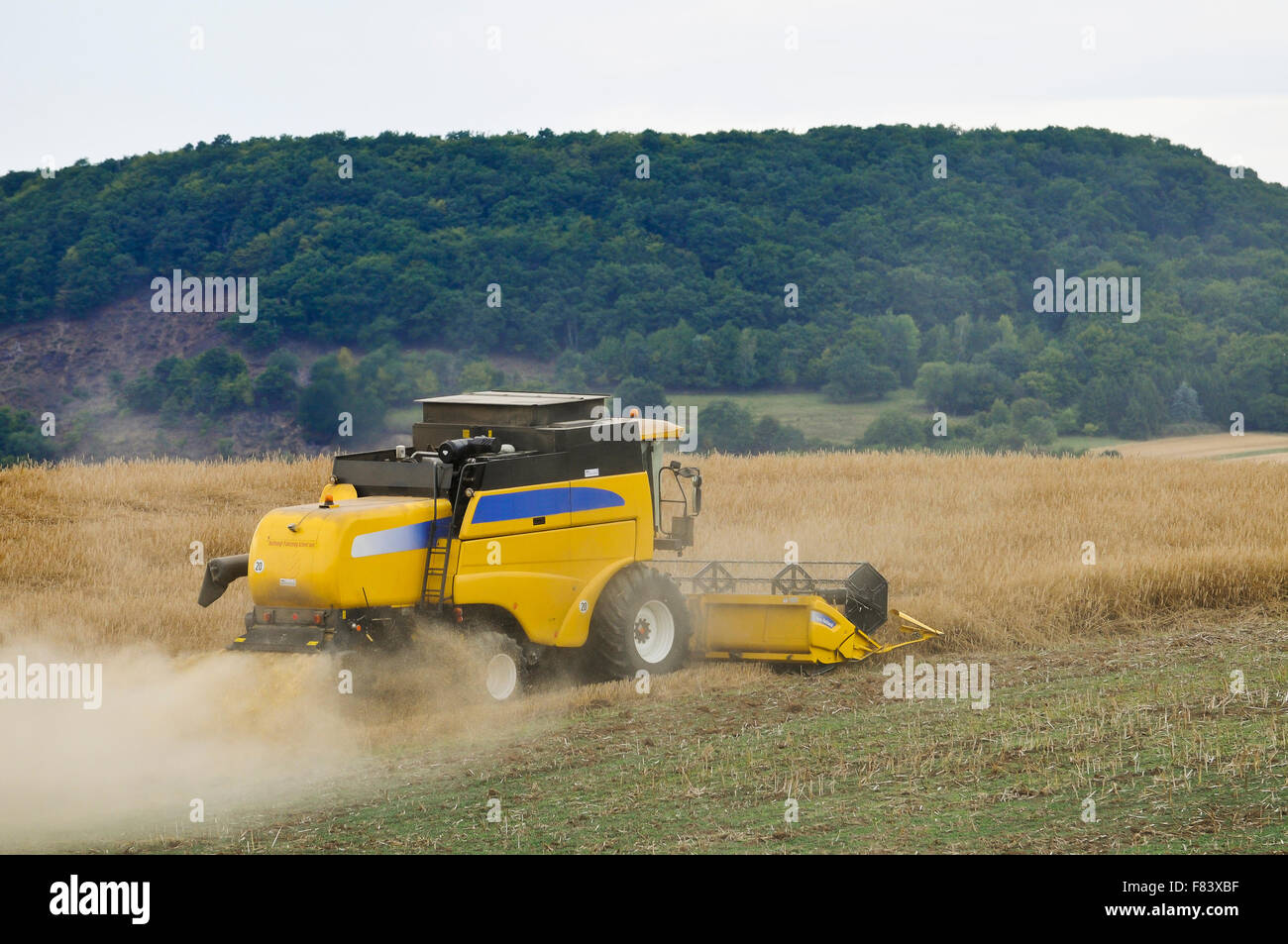 Combine harvester on field reap crop Germany Europe Stock Photo - Alamy
