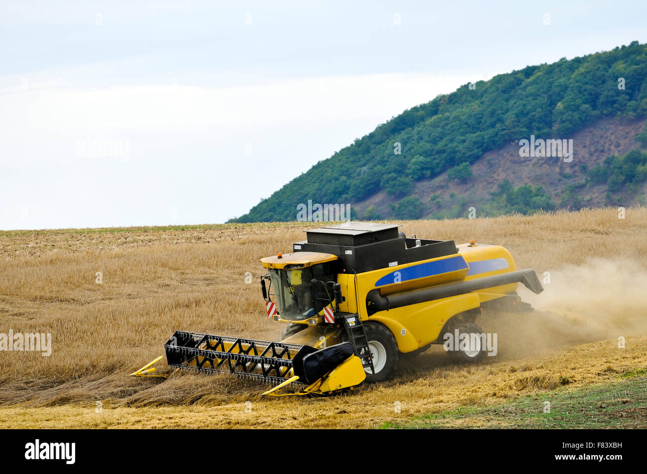 Combine harvester on field reap crop Germany Europe Stock Photo - Alamy