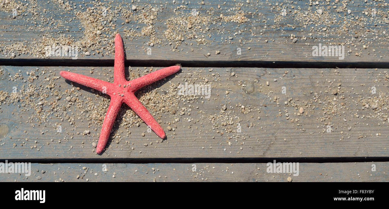 Red sea star on wooden beach stair with small pebbles Stock Photo - Alamy
