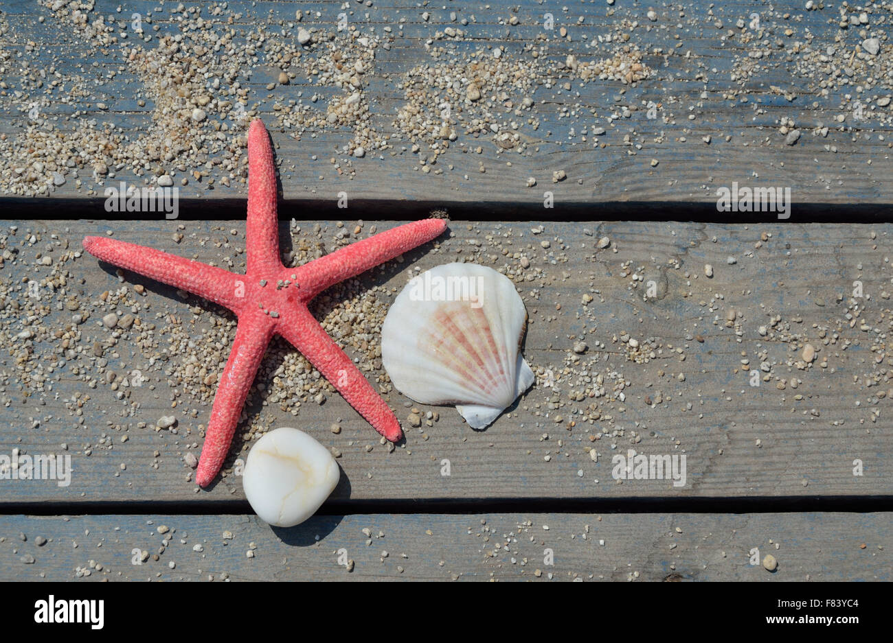 Red sea star, shell and stone on wooden beach stair with small pebbles ...