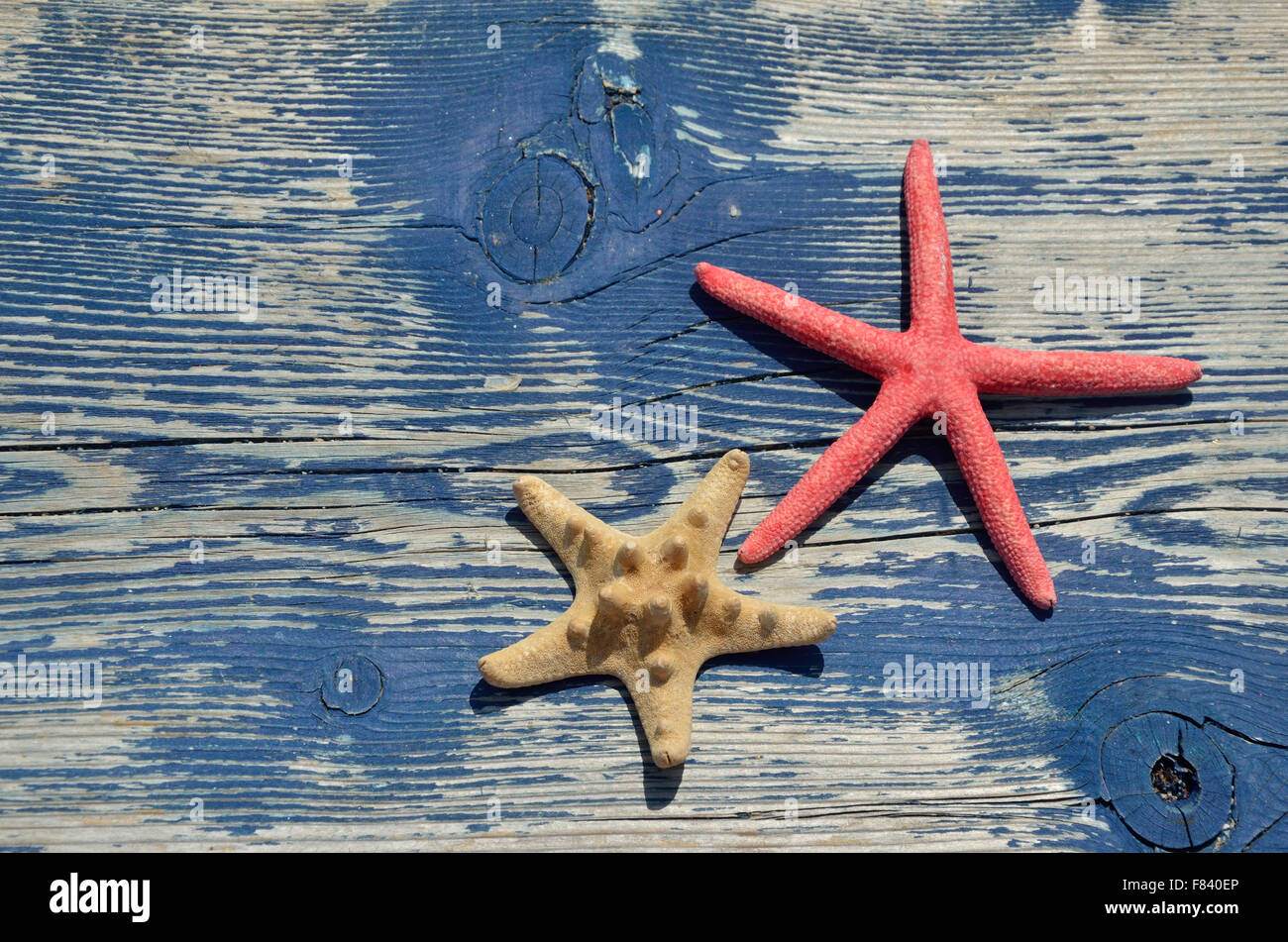 Red and beige sea star on navy blue wooden beach bench of cracked ...