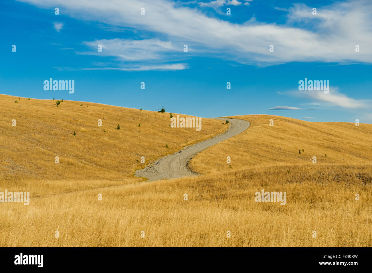 Mackenzie country new zealand hi-res stock photography and images - Alamy