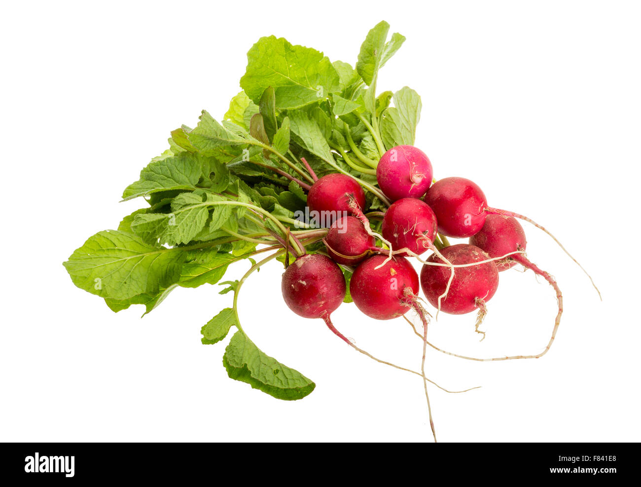 Fresh radish with leaves isolated Stock Photo - Alamy