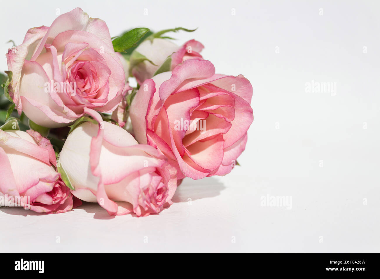 bouquet pink roses on white background -pink flowers Stock Photo - Alamy
