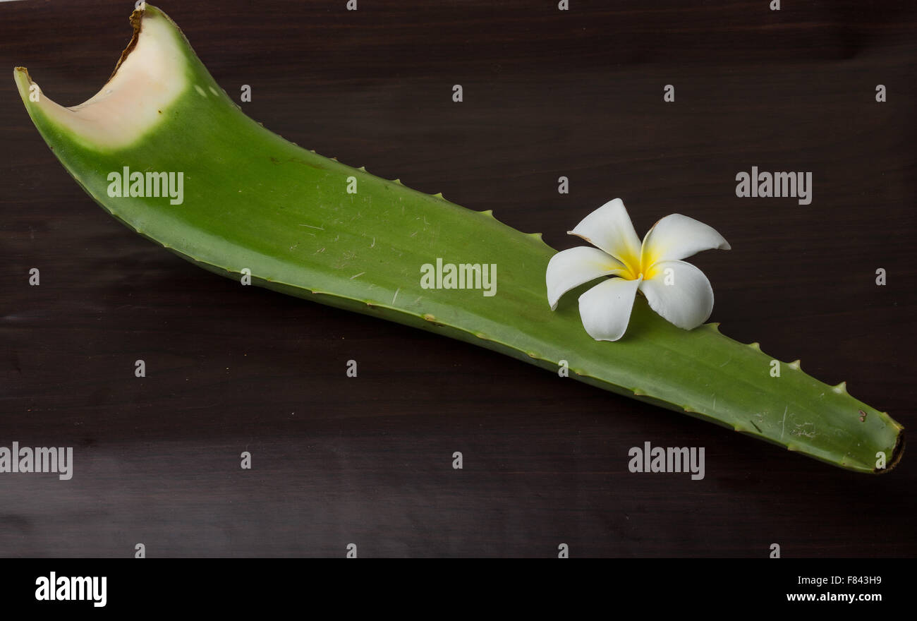 Aloe vera with plumeria flower on wood background Stock Photo - Alamy