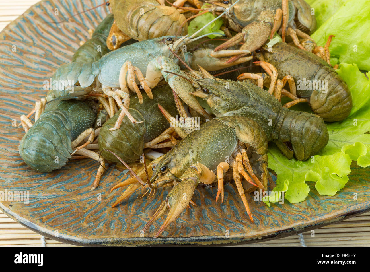 Raw Crayfish in the bowl with dill Stock Photo - Alamy