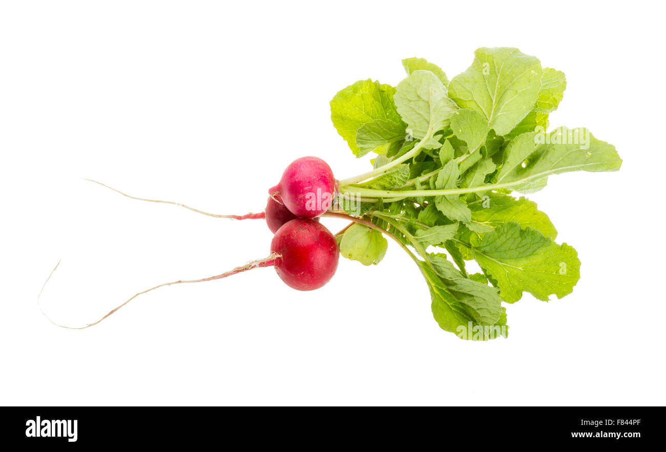 Fresh radish with leaves isolated Stock Photo - Alamy