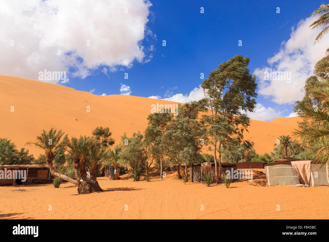 oasis in the Sahara desert Stock Photo - Alamy