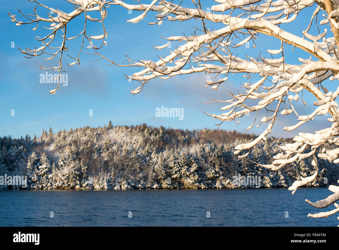 John bright st hi-res stock photography and images - Alamy