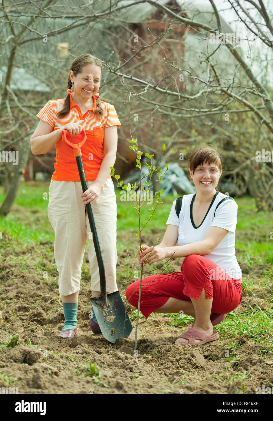 Happy women planting fruit tree outdoor Stock Photo - Alamy