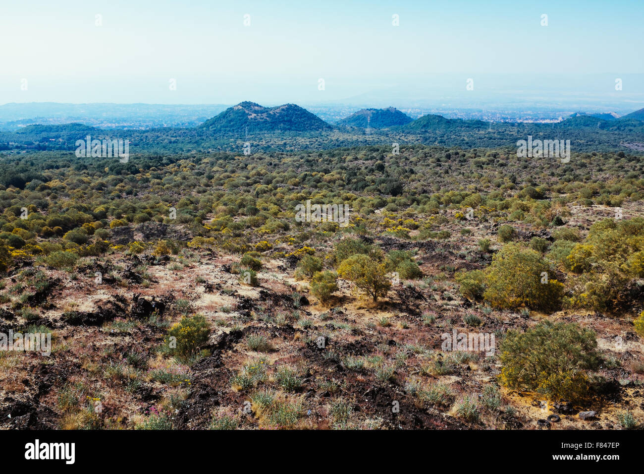 Vegetation and Craters at 2000m on top of volcano Etna Stock Photo - Alamy