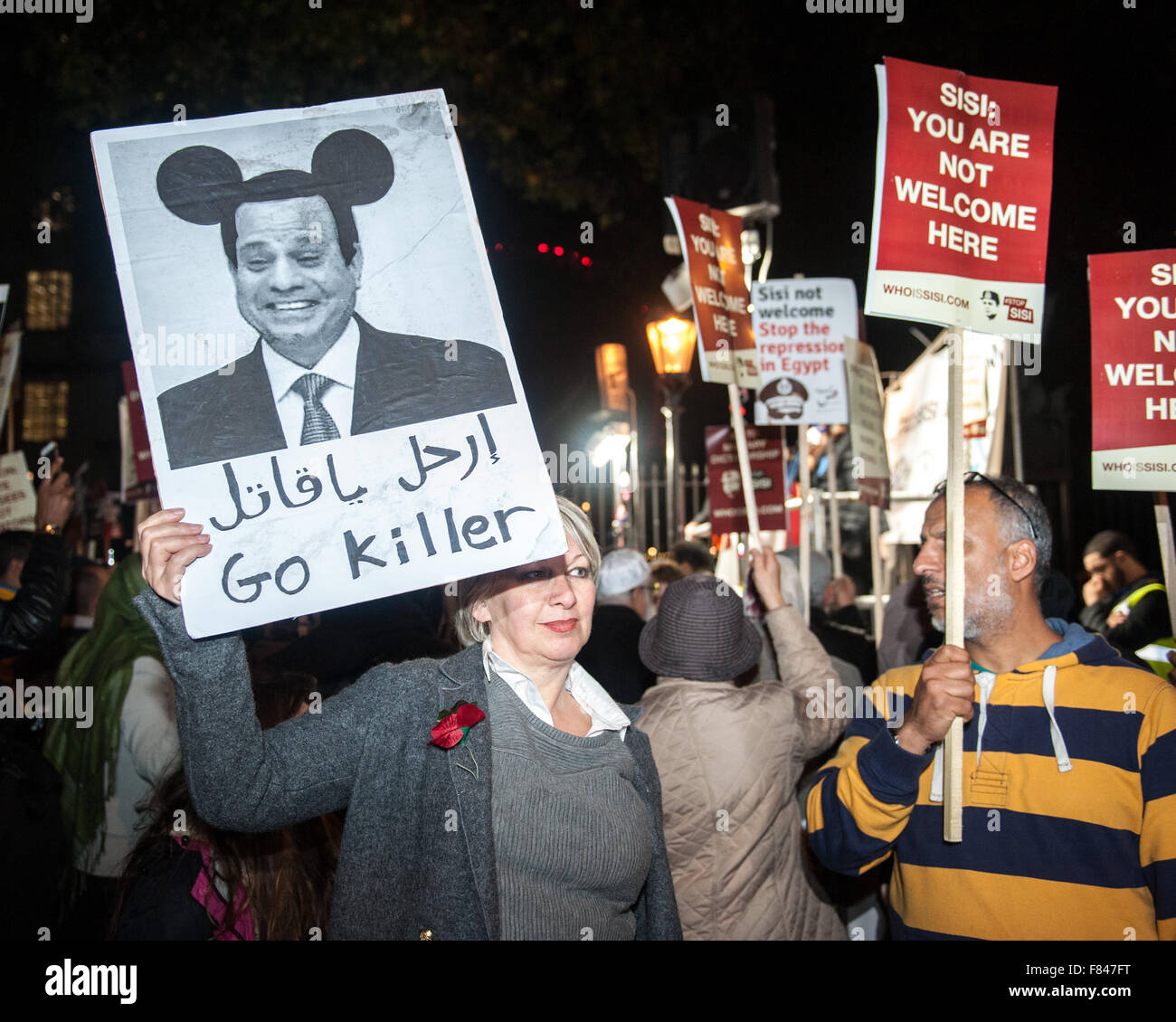 Hundreds of Egyptians gather outside Downing Street to protest against ...