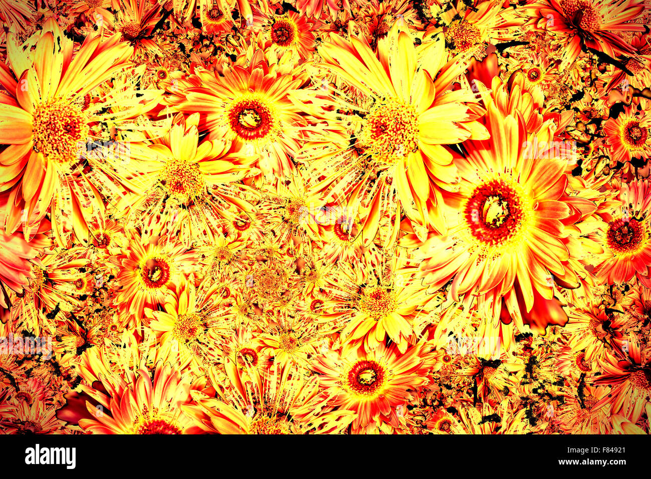 Red Yellow flowers background - Illustration Stock Photo - Alamy