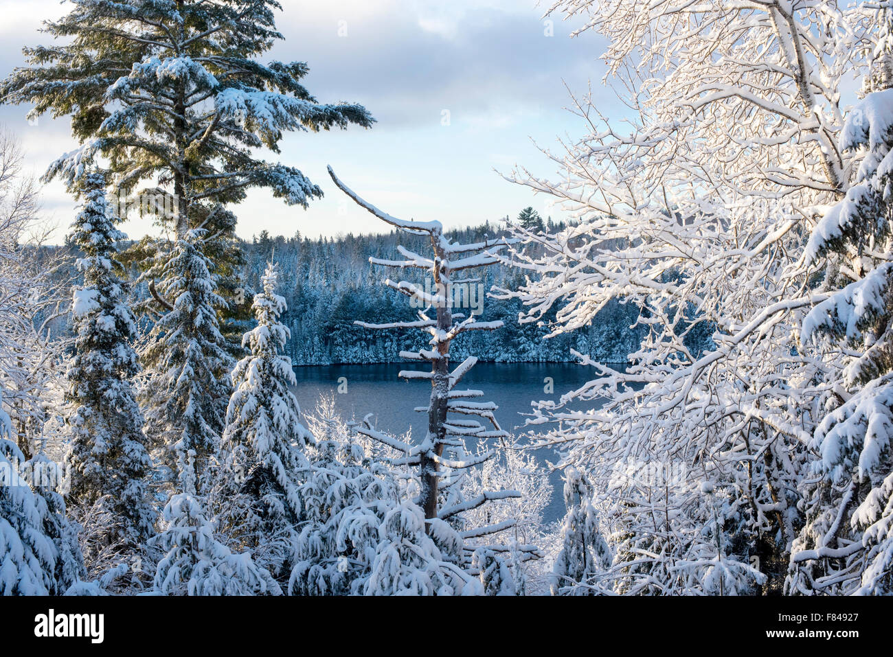 New brunswick winter scene hi-res stock photography and images - Alamy