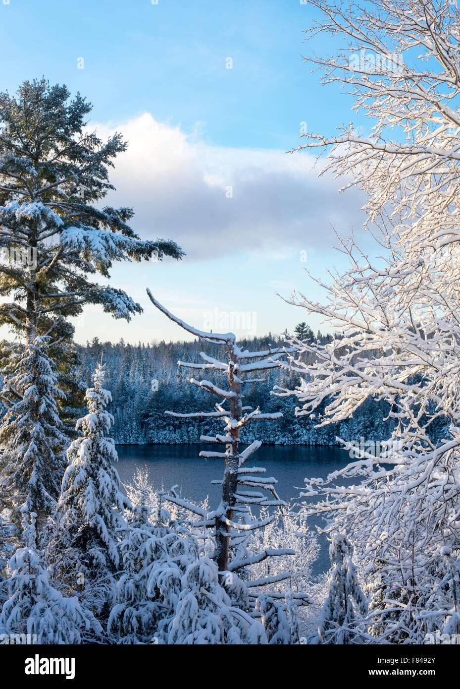 winter scene canada Stock Photo - Alamy