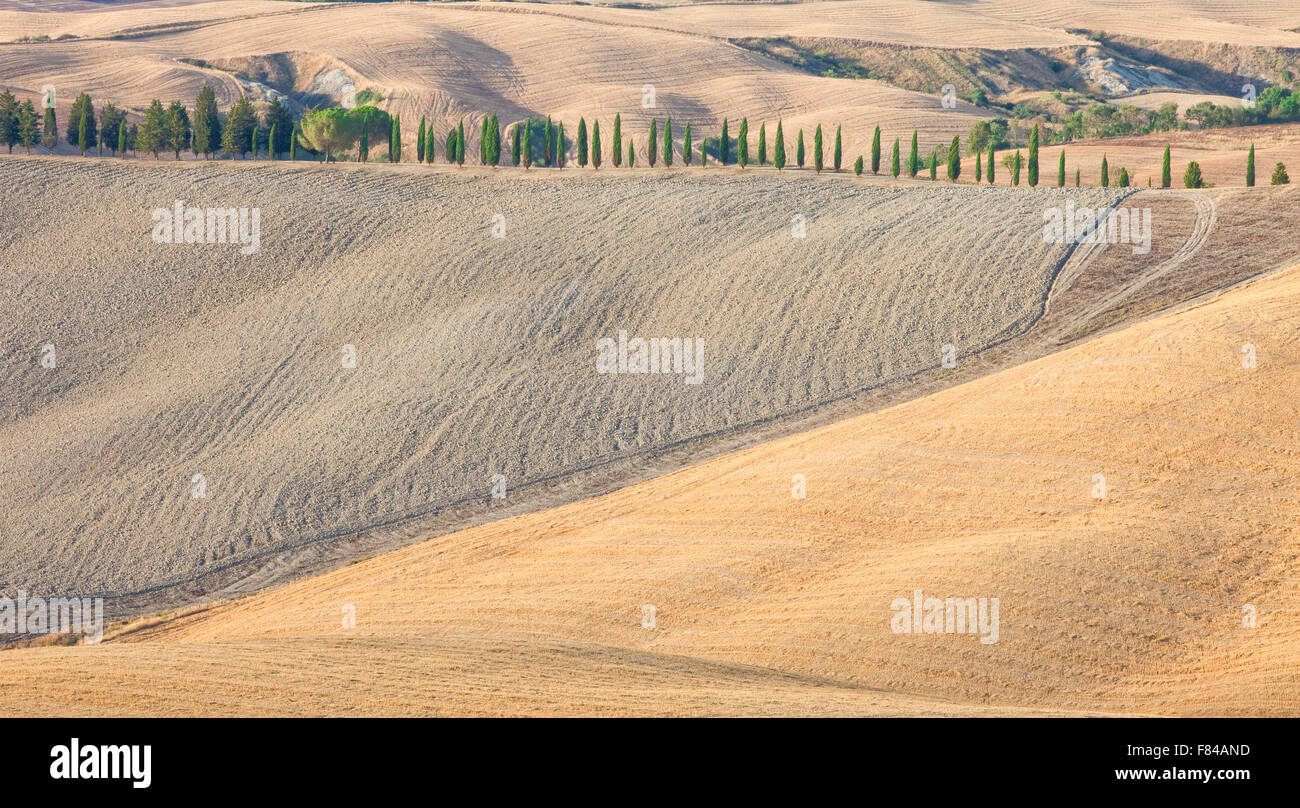 Agriculture or farming, italy hi-res stock photography and images - Alamy
