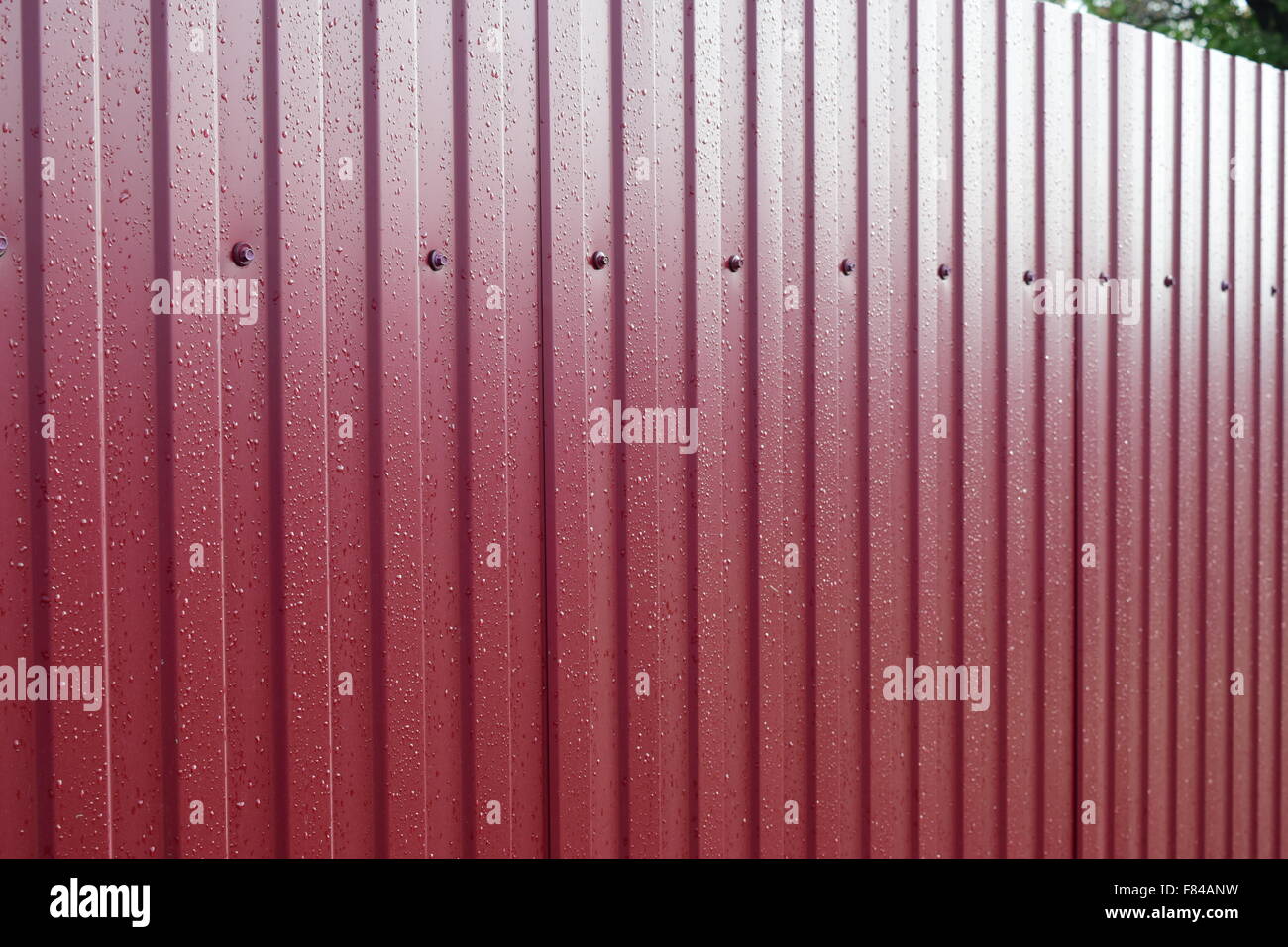 Diagonal pattern of metal profile. Fences from the galvanized iron ...