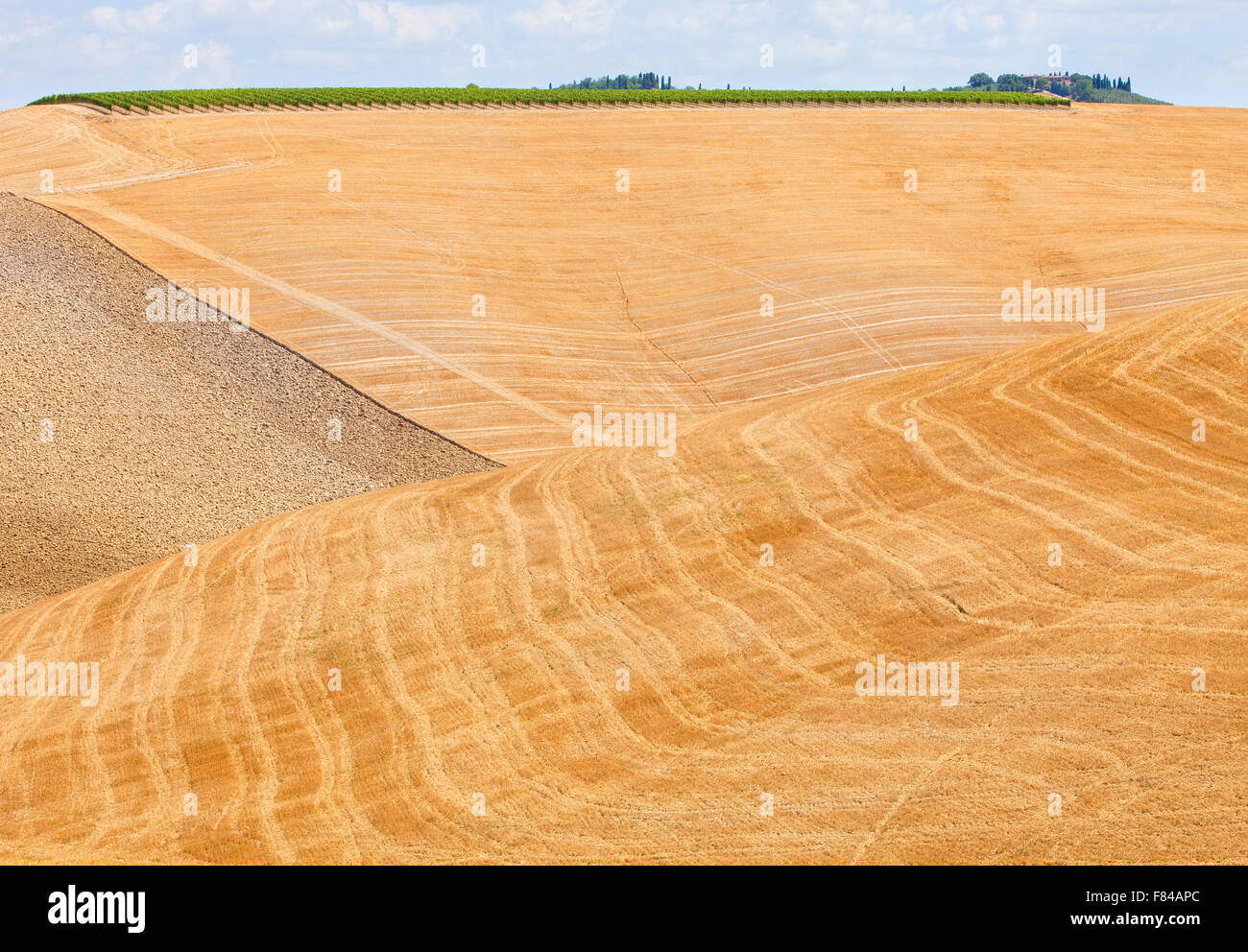 Italy Tuscany Le Crete - Agriculture Stock Photo - Alamy