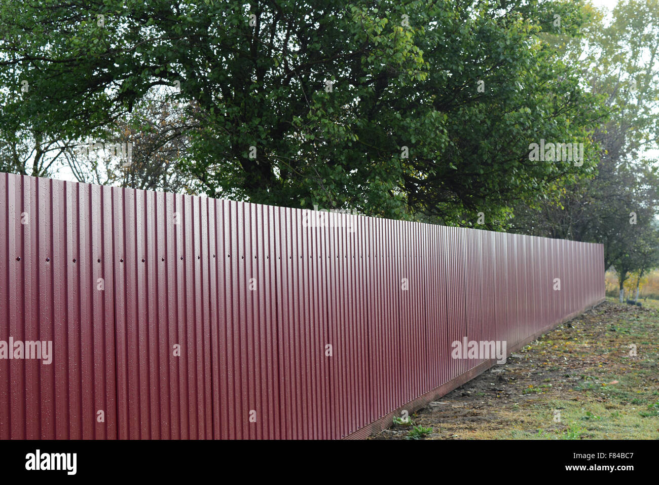 Diagonal pattern of metal profile. Fences from the galvanized iron ...