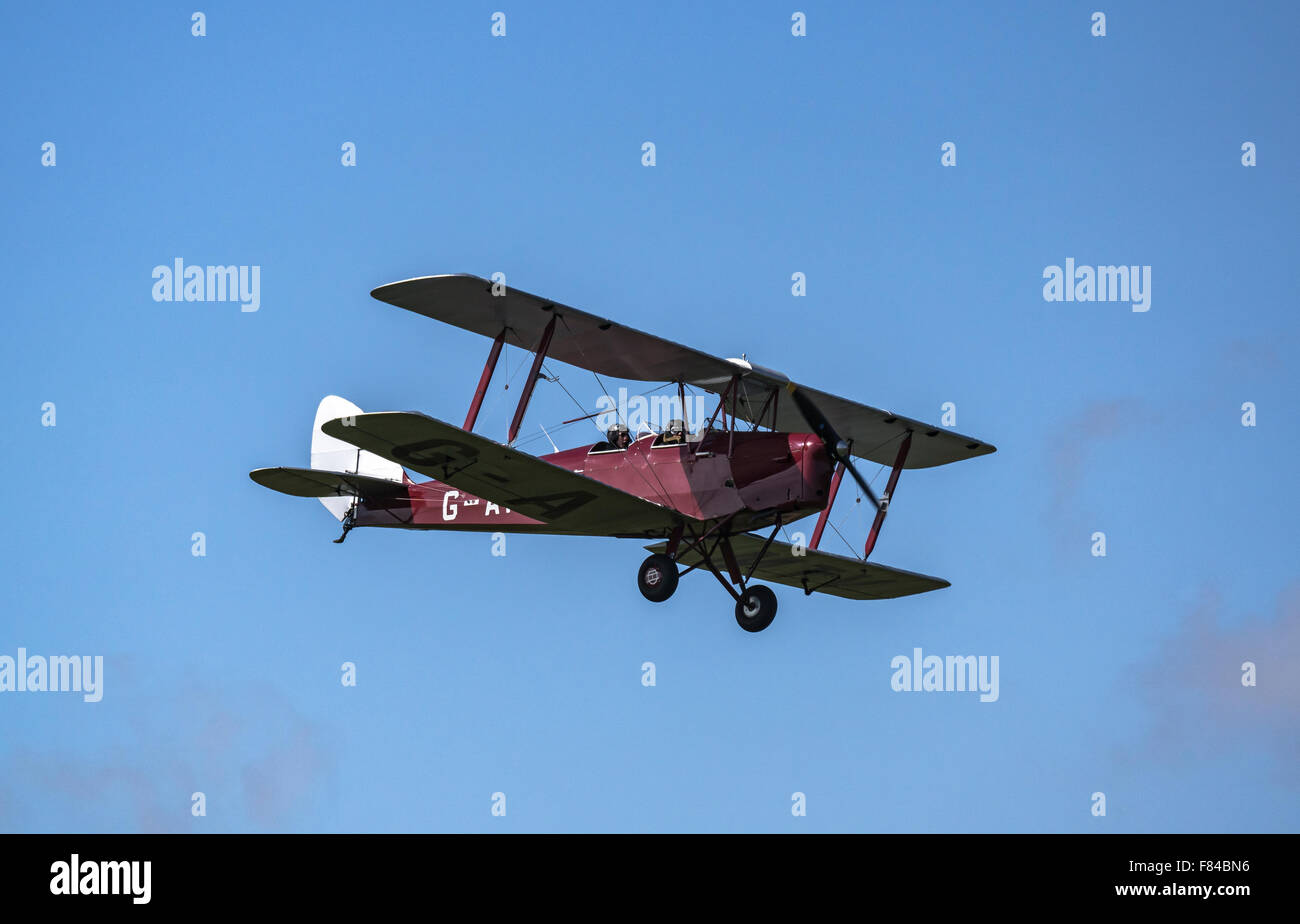 A tiger moth in flight Stock Photo - Alamy