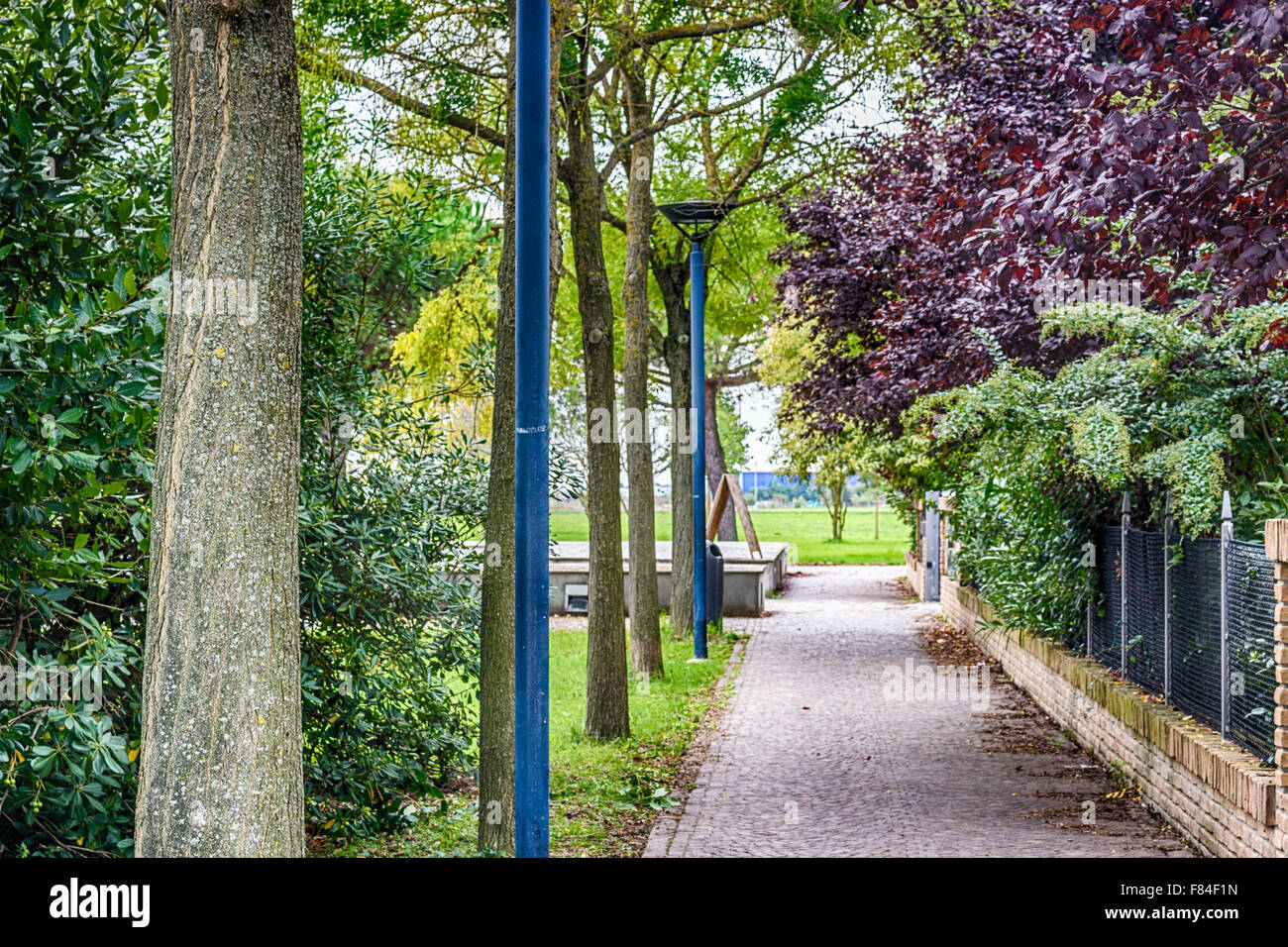 cobblestone path along lampposts, trees and hedges Stock Photo - Alamy