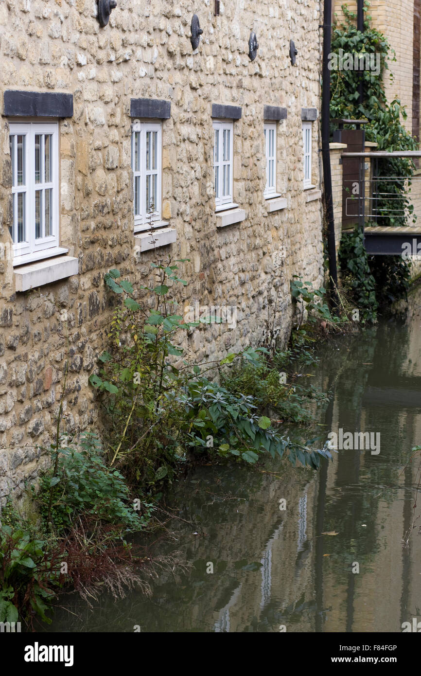 Cottages along the castle mill stream in Oxford Stock Photo - Alamy