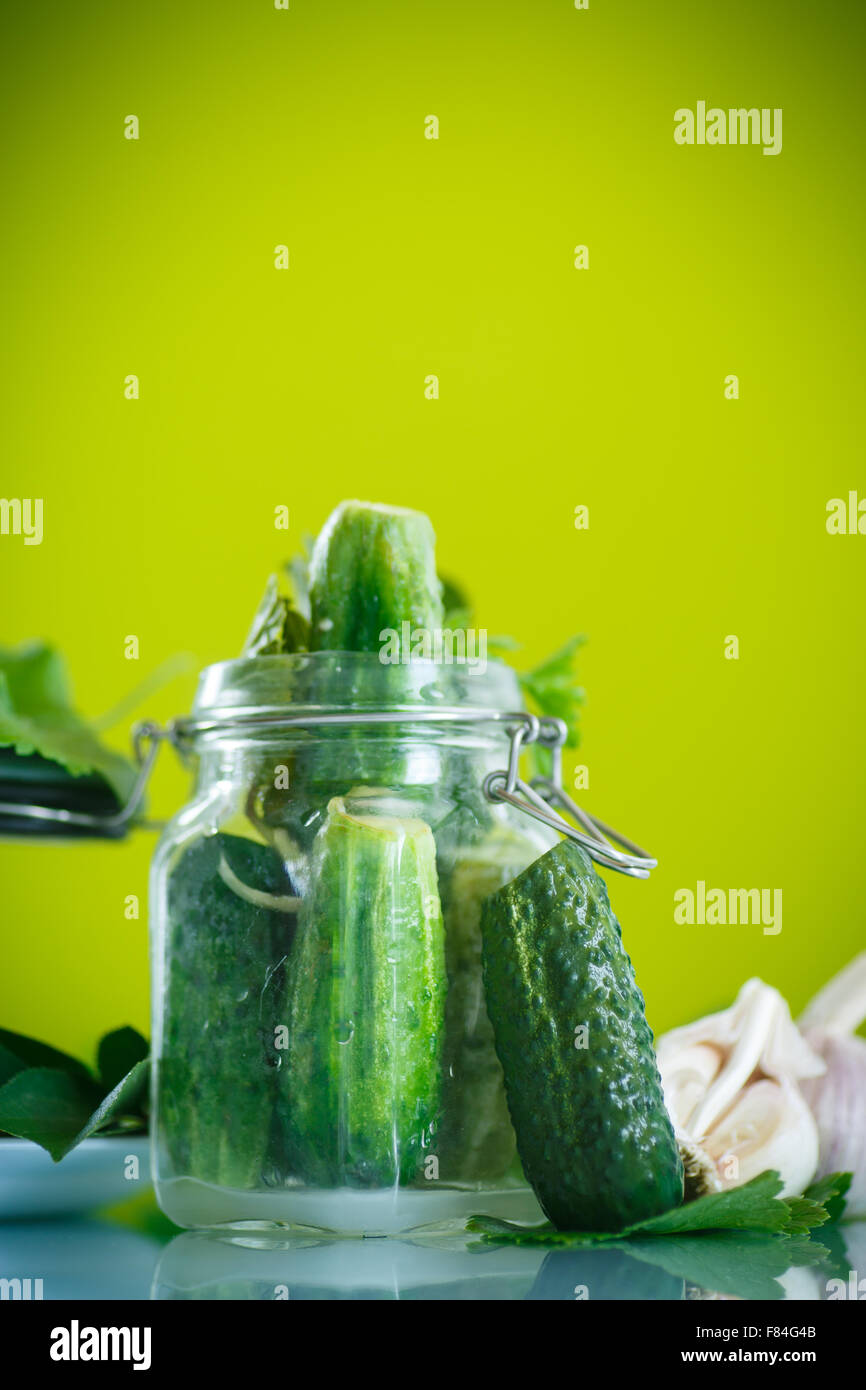 Salted cucumber hi-res stock photography and images - Alamy