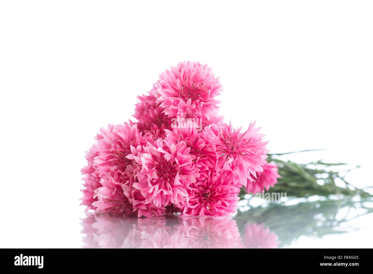 bright bouquet of carnations Stock Photo - Alamy