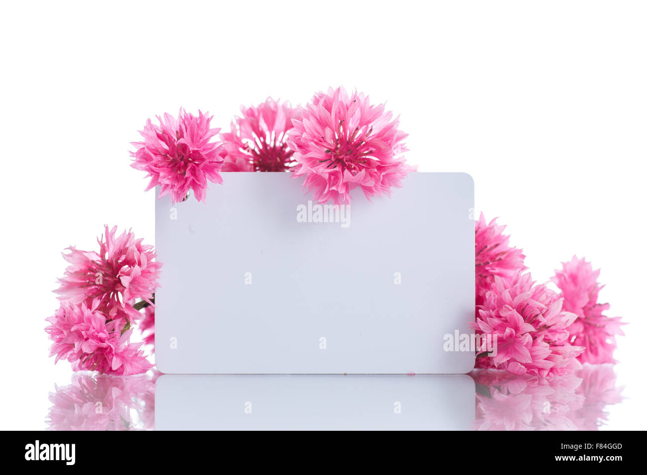 bright bouquet of carnations Stock Photo - Alamy