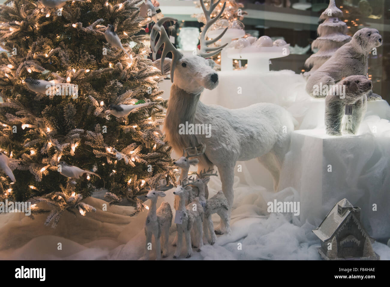 Christmas decoration with tree and snow in a window shop Stock Photo ...