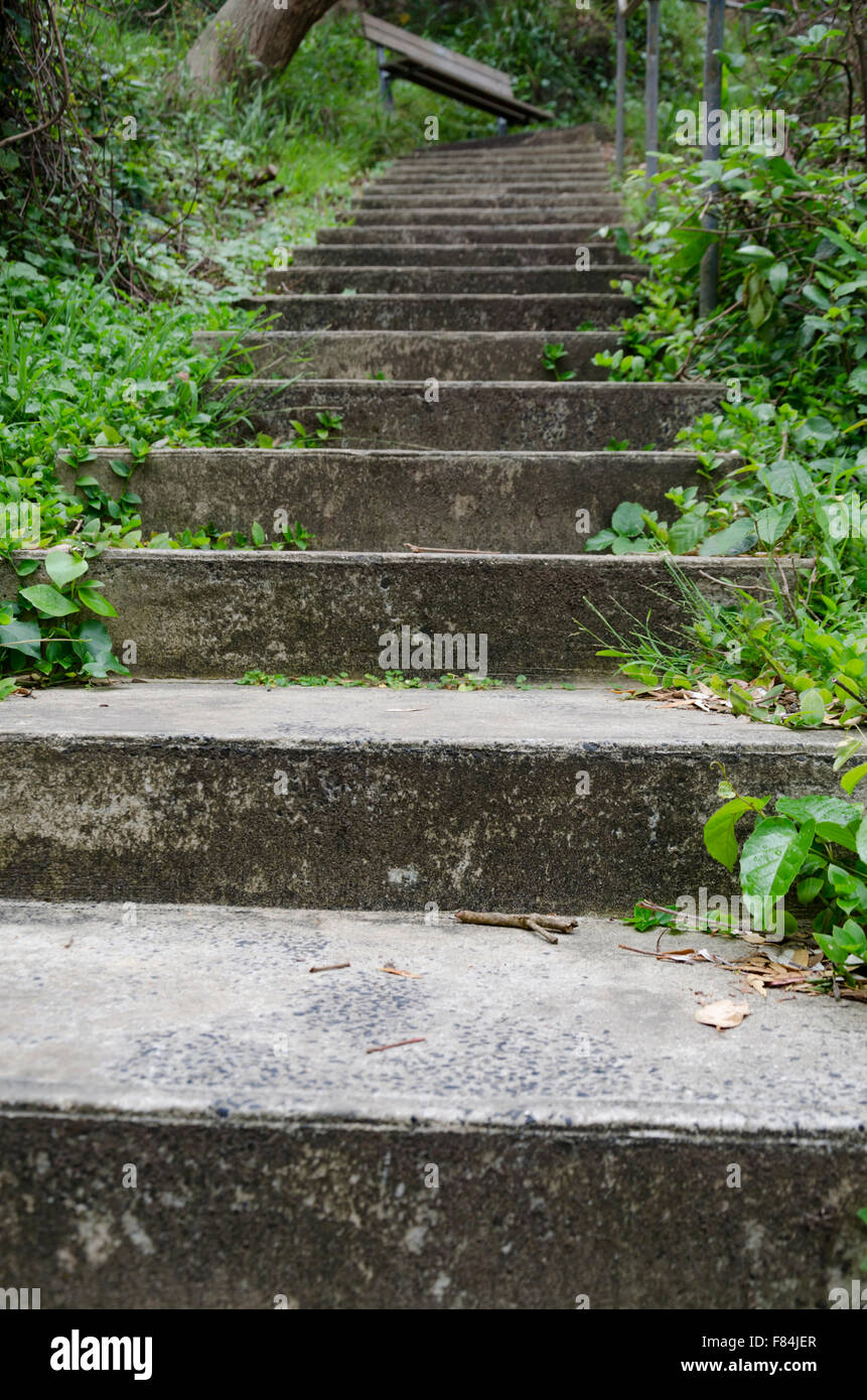 Looking up a long set of concrete steps with grass and weeds growing ...