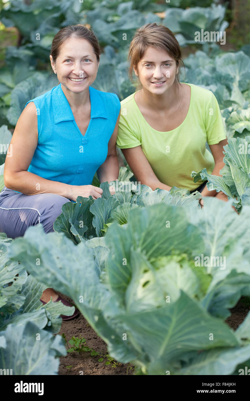 Two women in plant of cabbage Stock Photo - Alamy