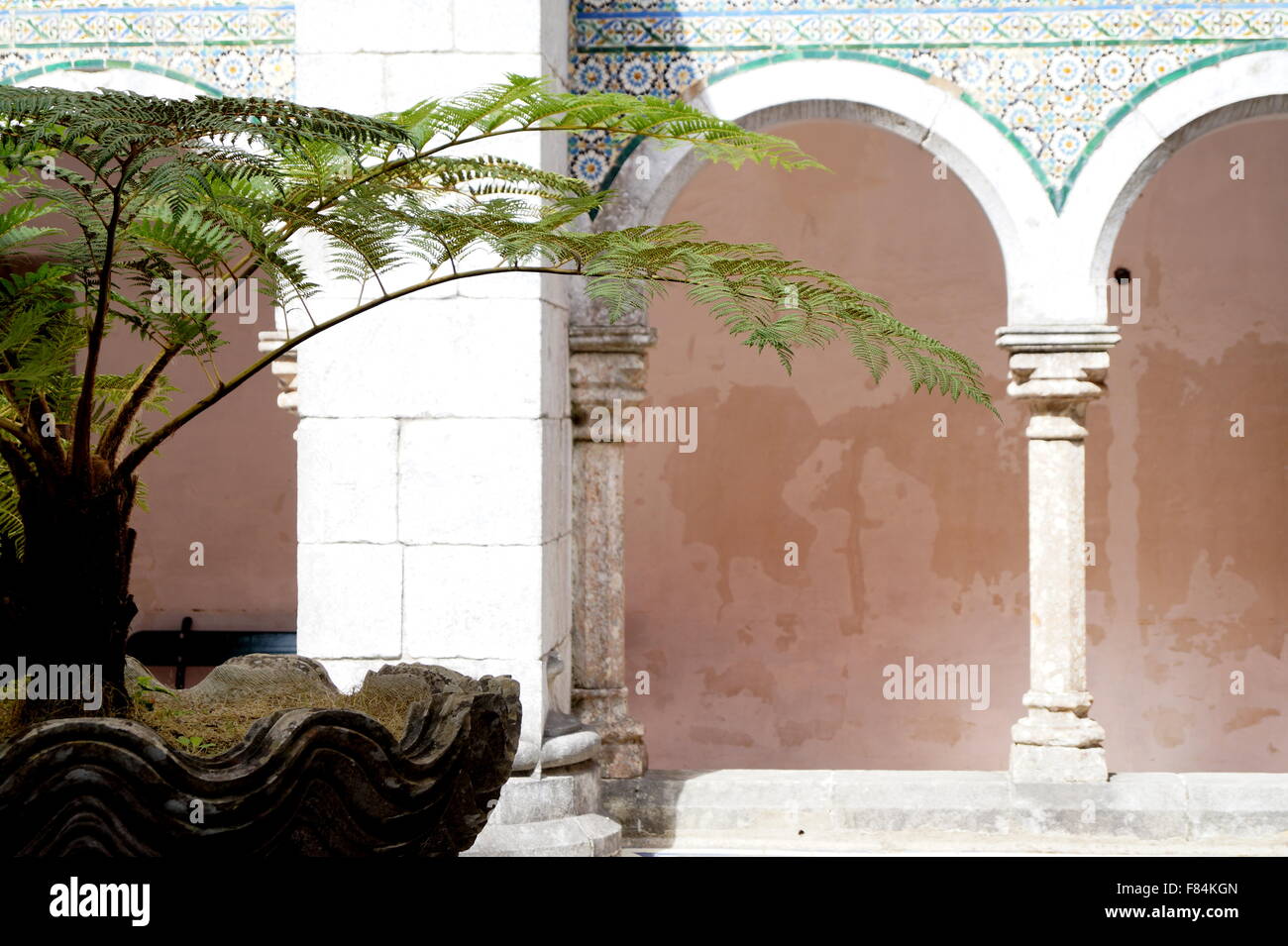 potted fern in front of columns Stock Photo - Alamy