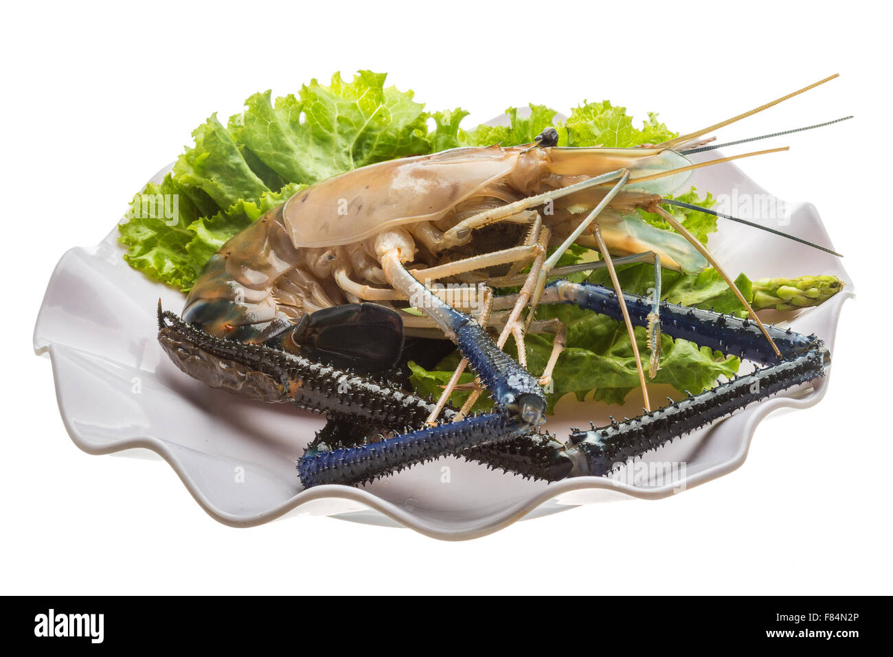 Big Freshwater prawn ready for cooking Stock Photo - Alamy