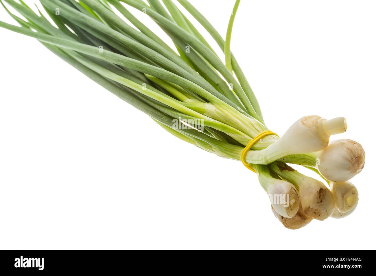 Green onion isolated on white background Stock Photo - Alamy