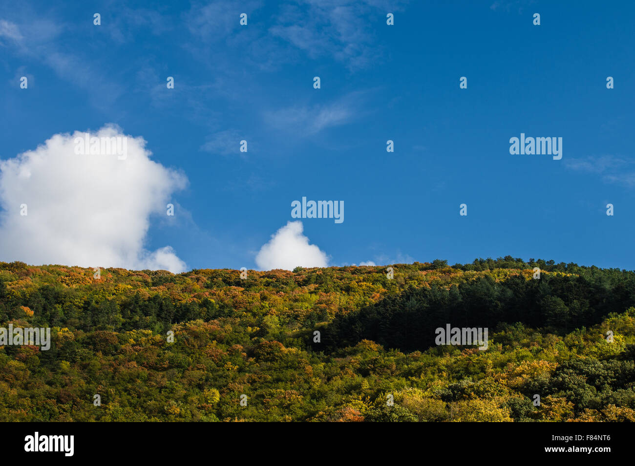 Natural Park Monte Subasio near Assisi (Umbria, Italy Stock Photo - Alamy