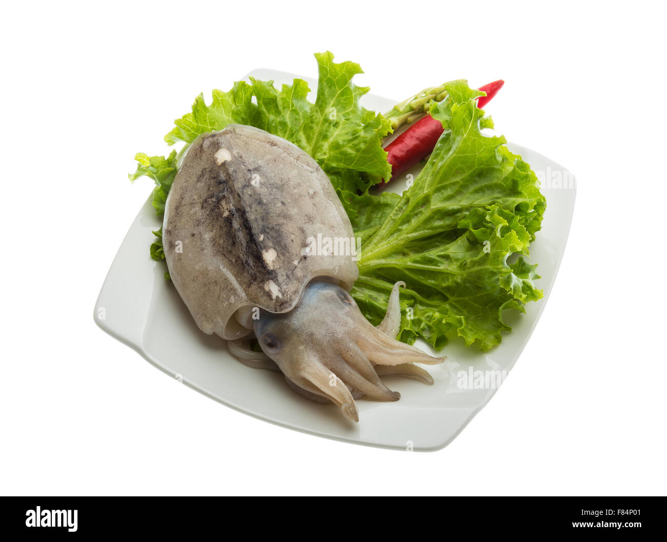 Raw cuttlefish ready for cooking Stock Photo - Alamy