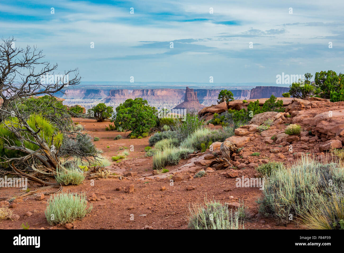 Desert expanse just before the canyon opens up in Canyonlands Stock ...