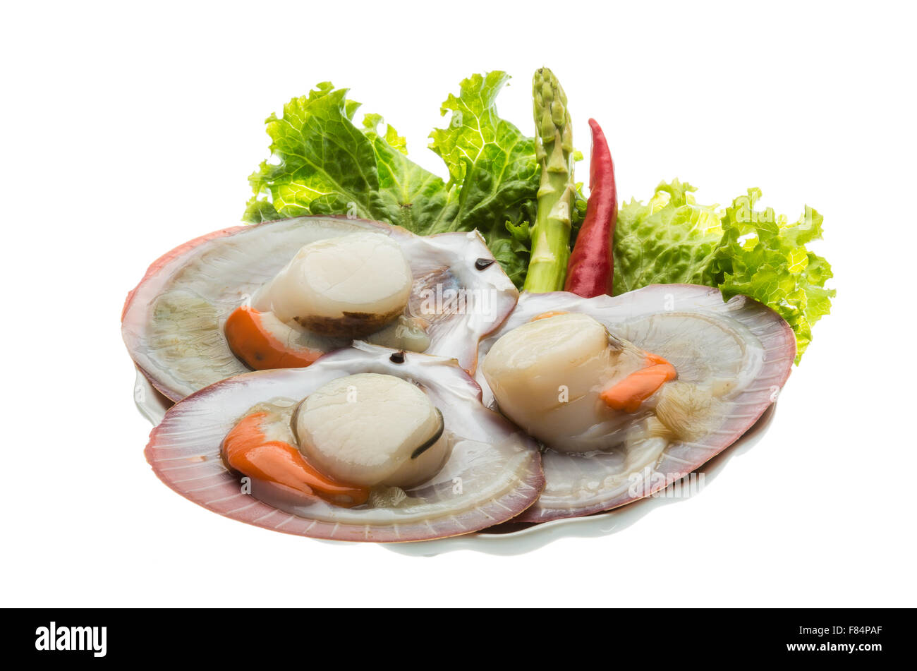 Raw fresh scallop ready for cooking Stock Photo - Alamy