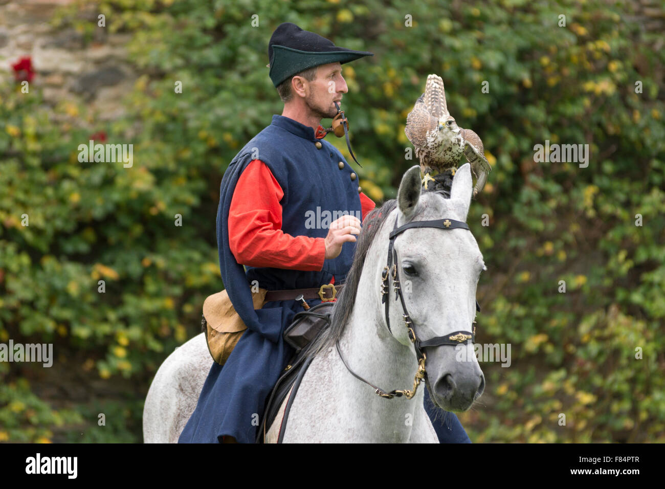 A mounted falconer at Rosenberg Renaissance Castle in Lower Austria ...