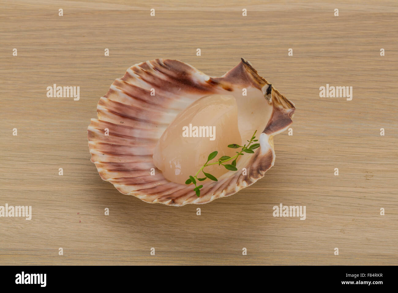 Raw scallops in the shell Stock Photo - Alamy