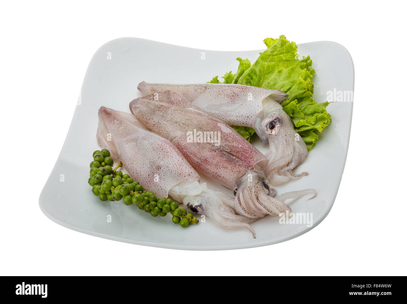 Raw calamari isolated on white background Stock Photo - Alamy