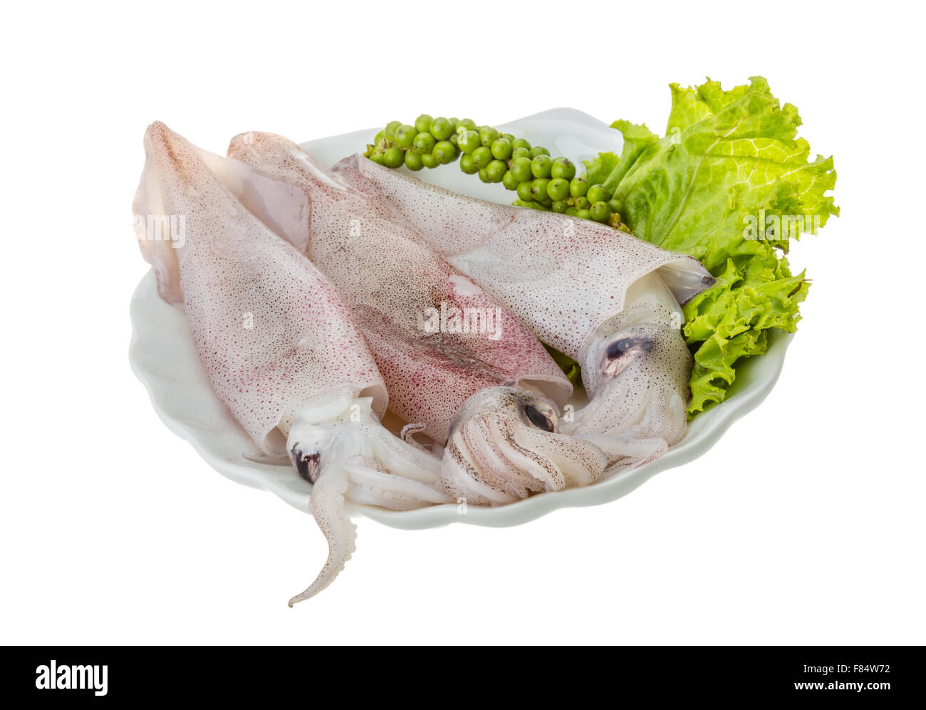 Raw calamari isolated on white background Stock Photo - Alamy