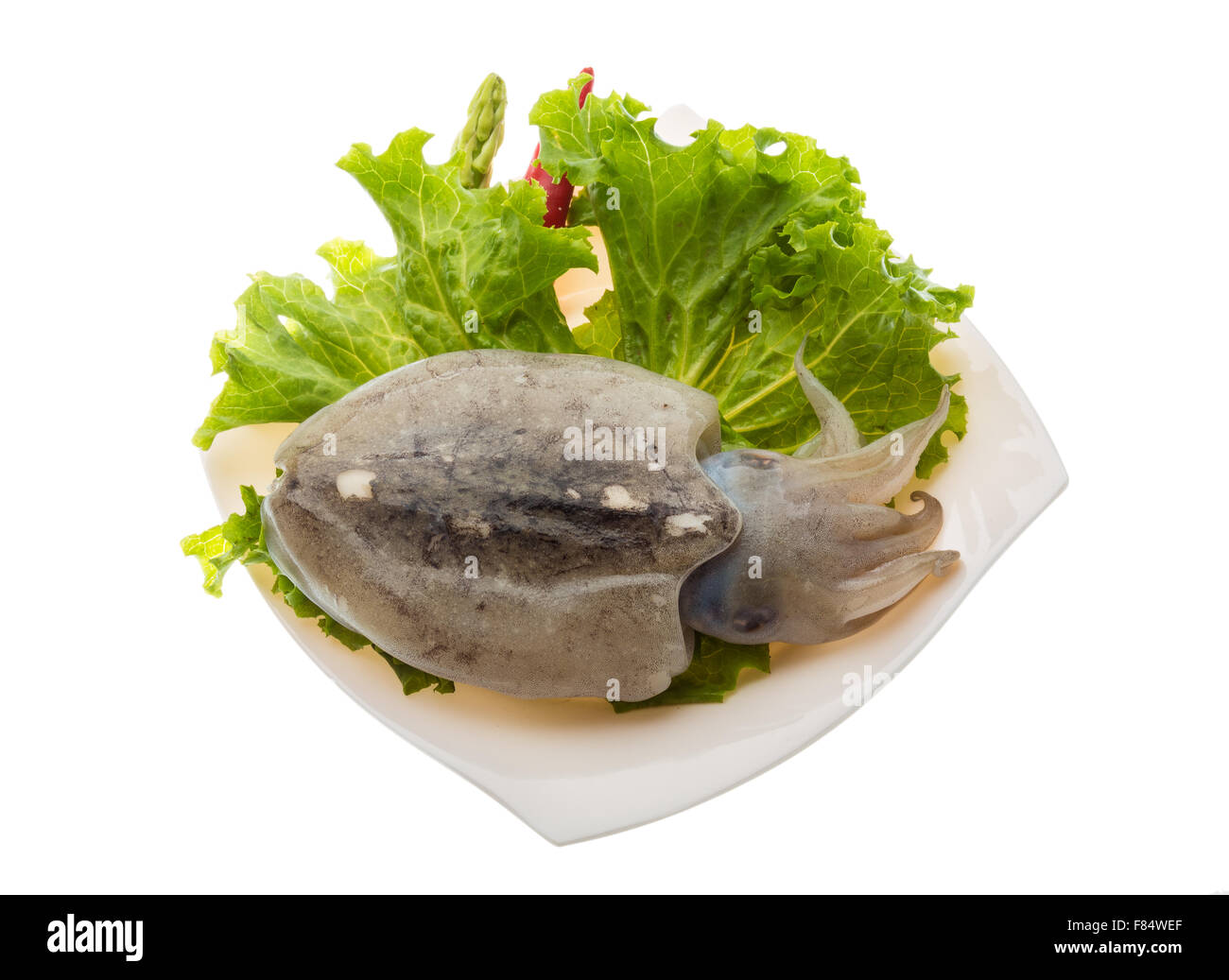 Raw cuttlefish ready for cooking Stock Photo - Alamy