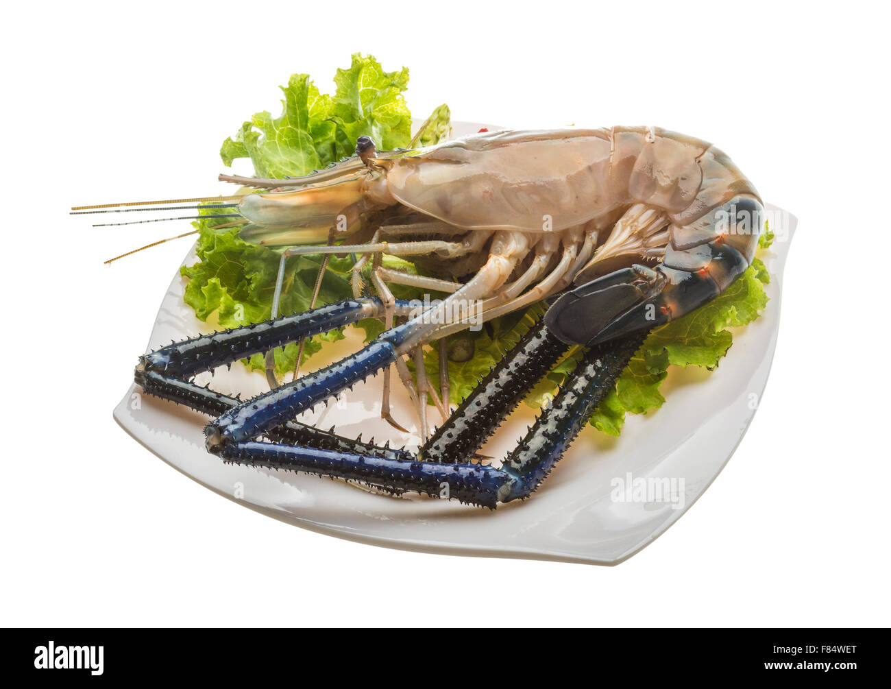 Big Freshwater prawn ready for cooking Stock Photo - Alamy