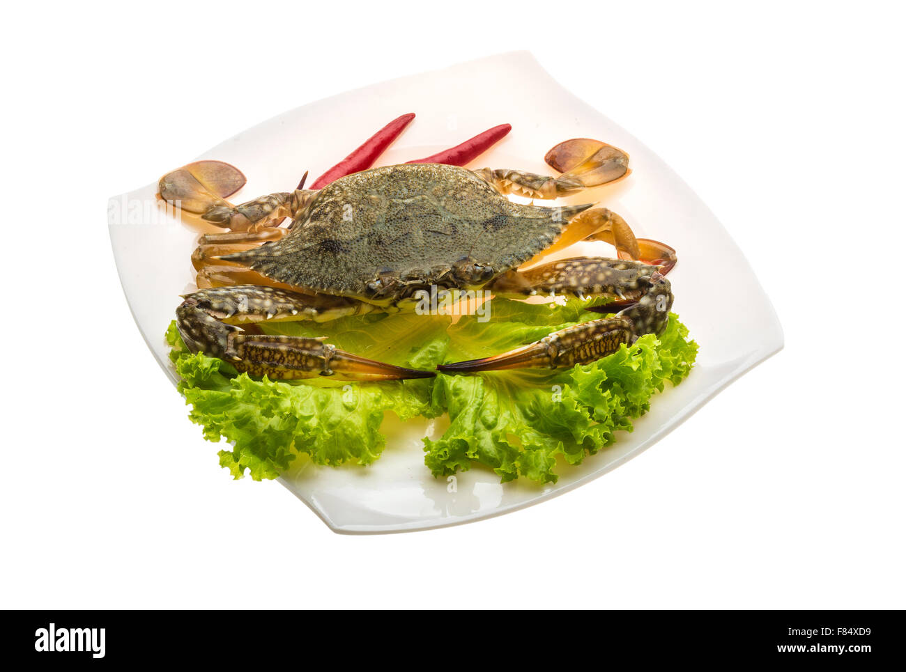 Raw crab ready for cooking Stock Photo - Alamy