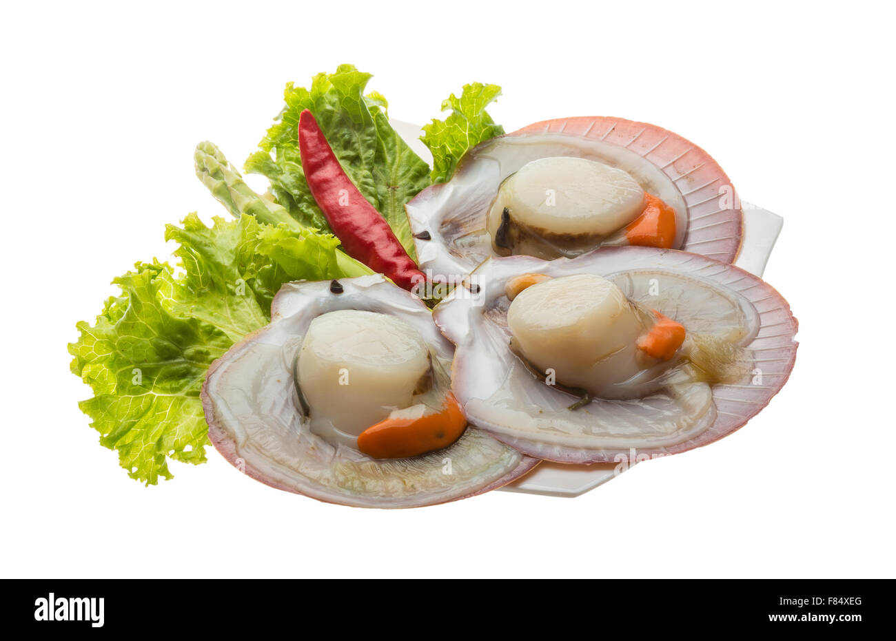 Raw fresh scallop ready for cooking Stock Photo - Alamy