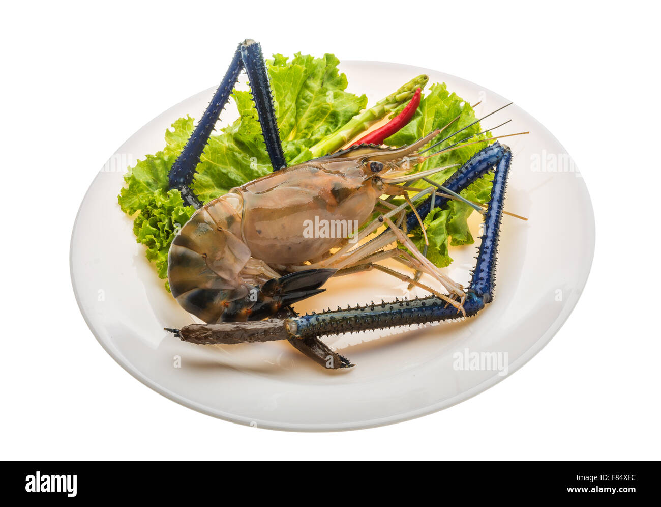 Big Freshwater prawn ready for cooking Stock Photo - Alamy