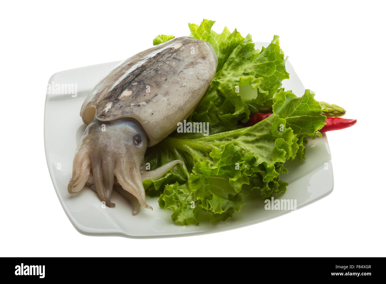 Raw cuttlefish ready for cooking Stock Photo - Alamy